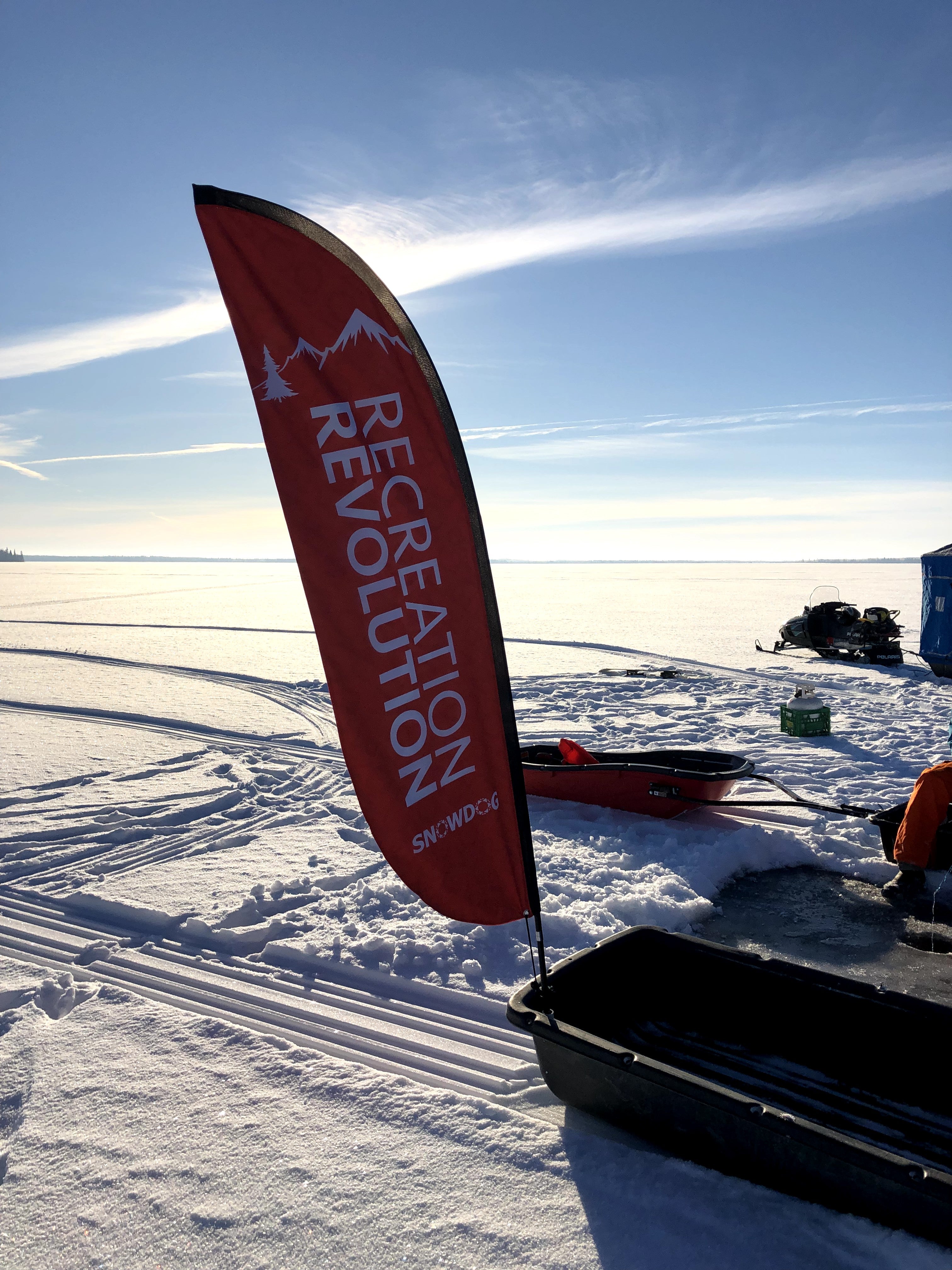 A Day With the Dogs – Recreation Revolution